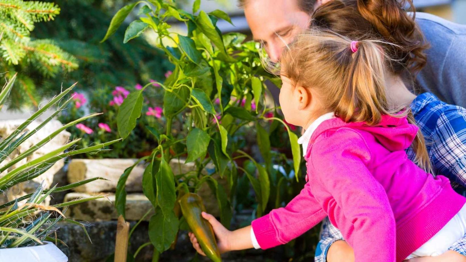 Safe Plants For Children’s Gardens | Fun Gardening for Kids