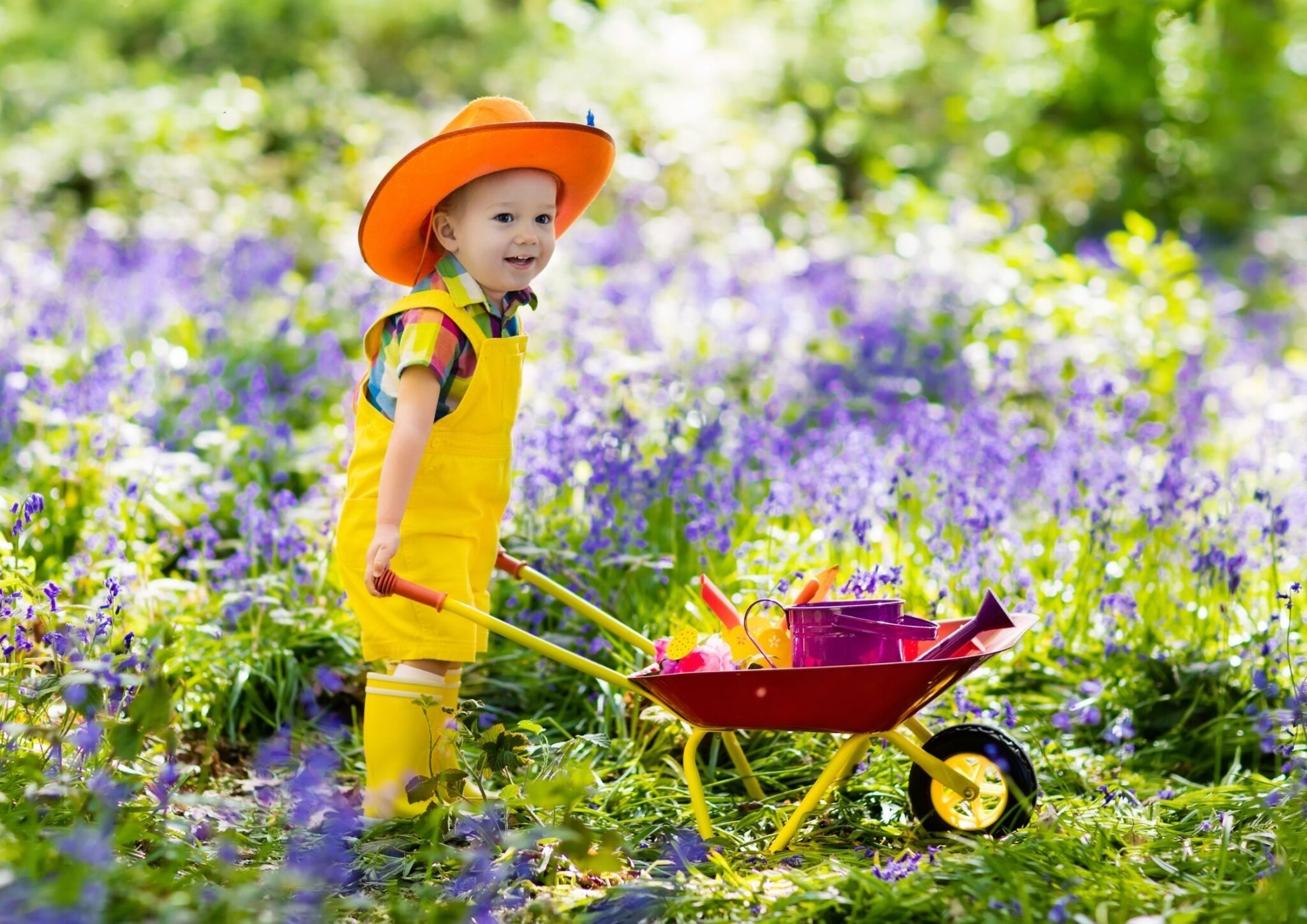 9 Top Ways to Succeed with a Children’s Vegetable Garden | Fun ...