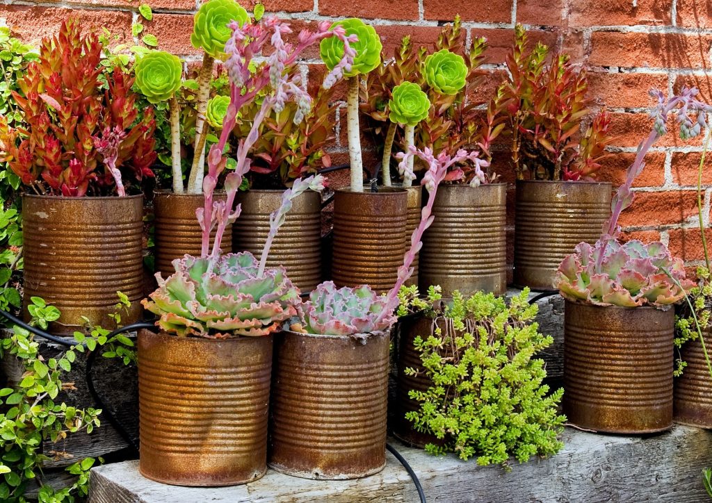 Container Gardening for Kids – What is it and How to Get Started | Fun ...