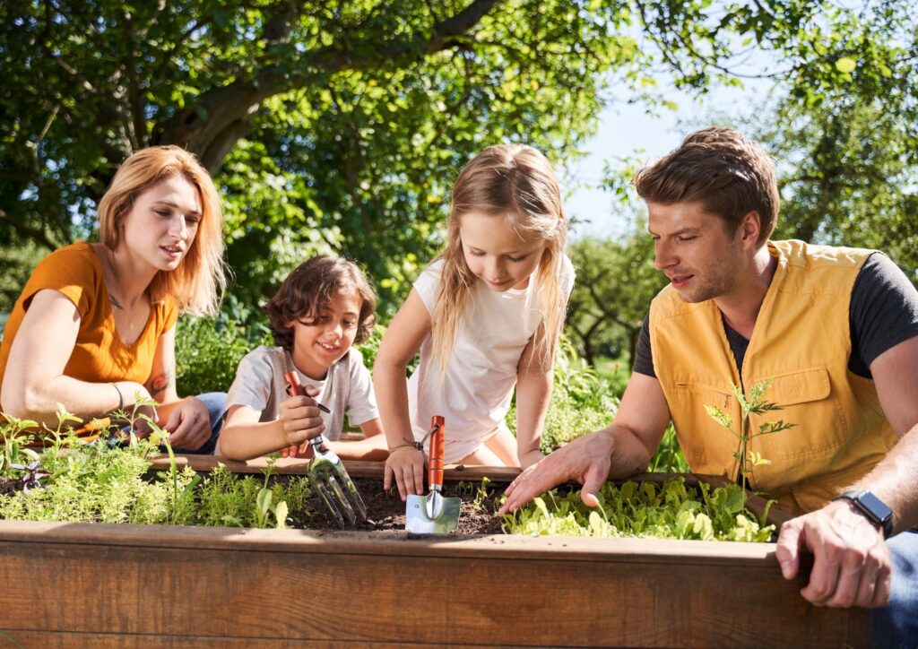 The Complete Guide to Growing Tomatoes with Children | Fun Gardening ...