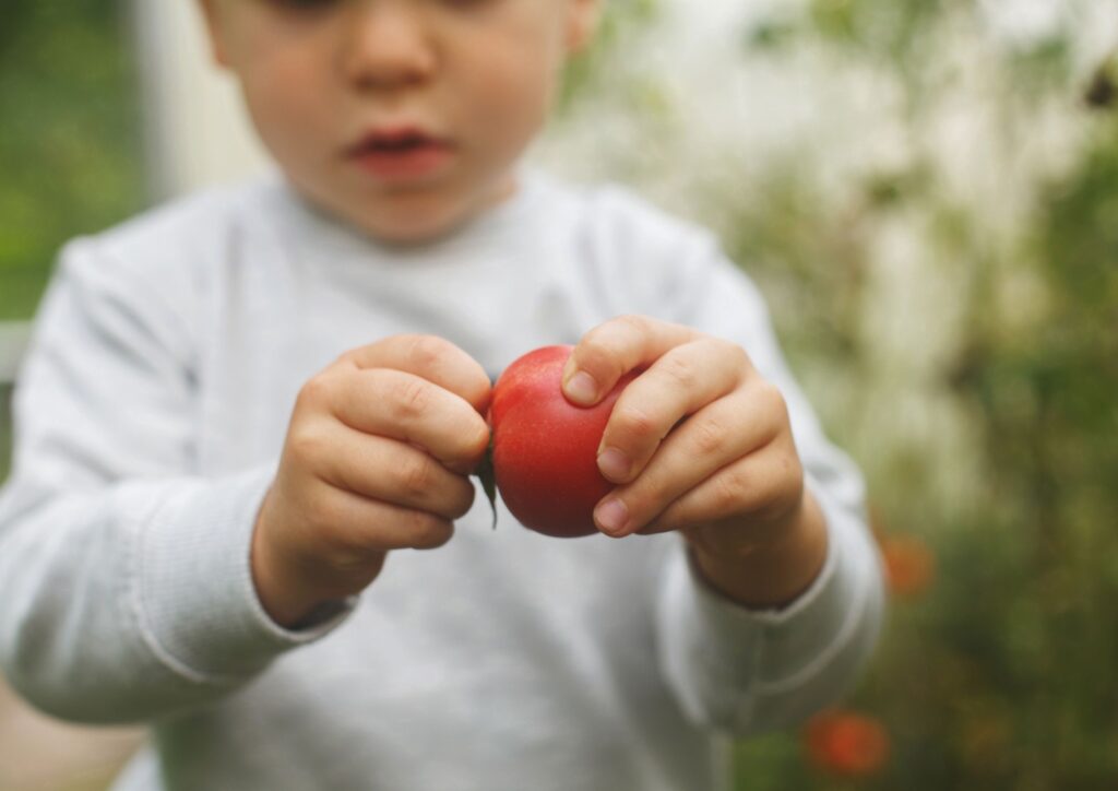 growing tomatoes with kids | Fun Gardening for Kids