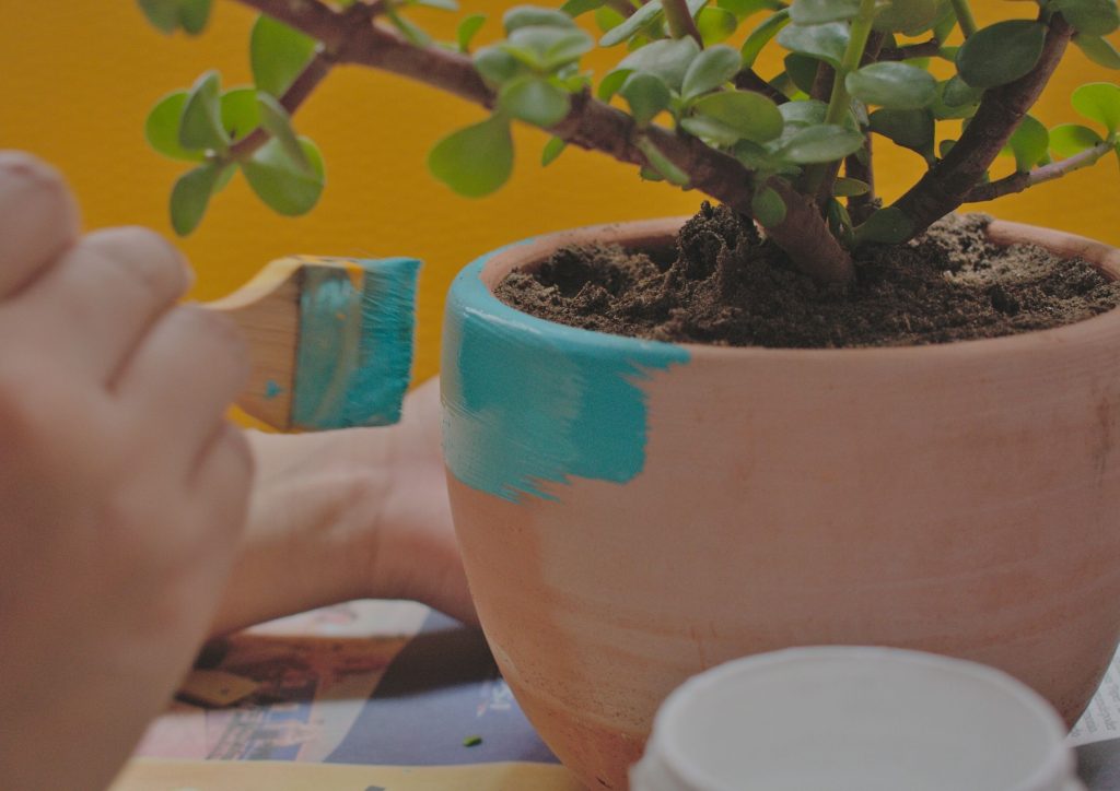 4 Things You Need to Know About Container Gardening for Kids | Fun ...
