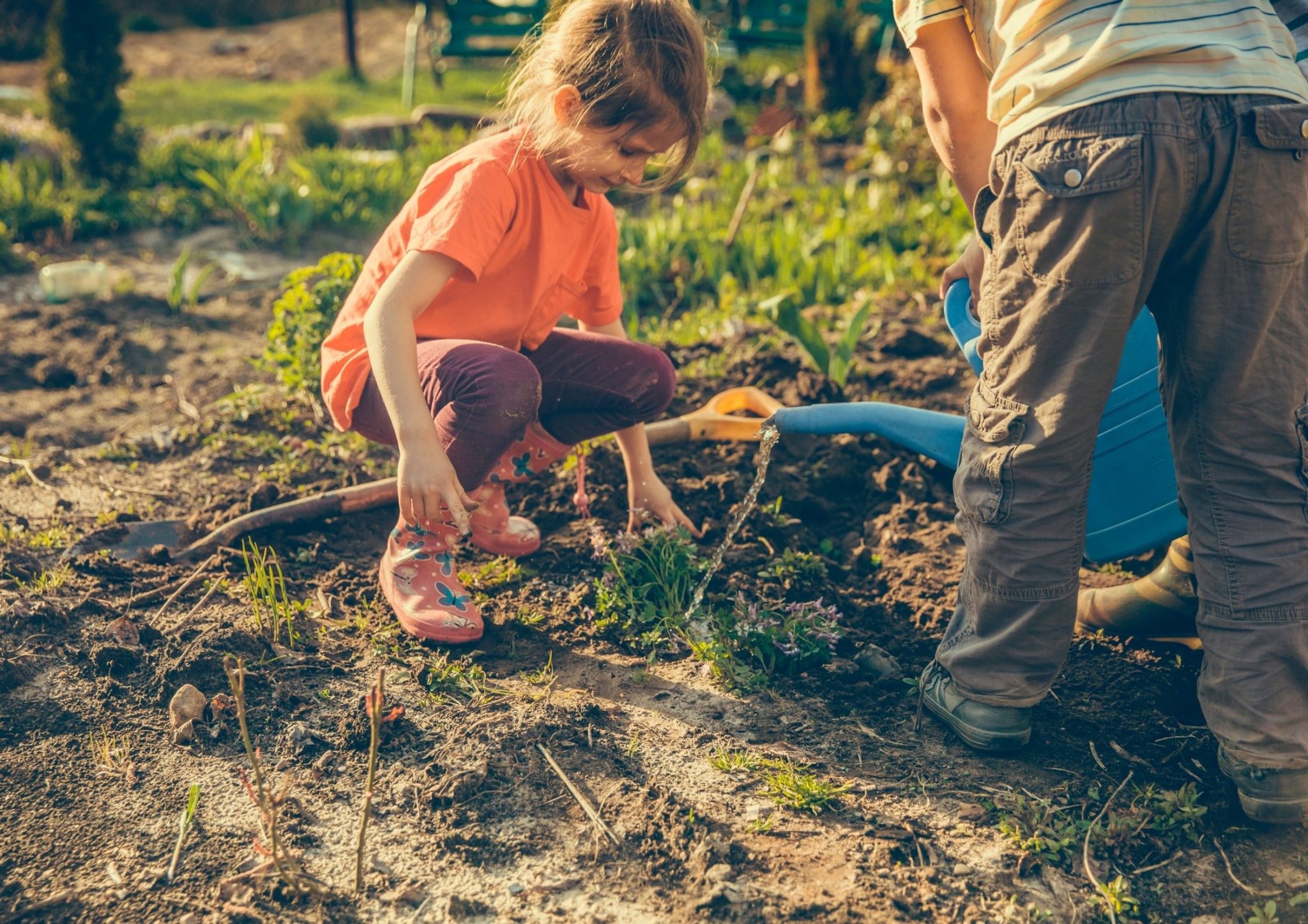 Creating a Children’s Sensory Garden: It’s Not as Difficult as You ...